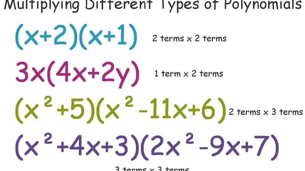 Polynomial Rules What Defines Polynomials Owlcation