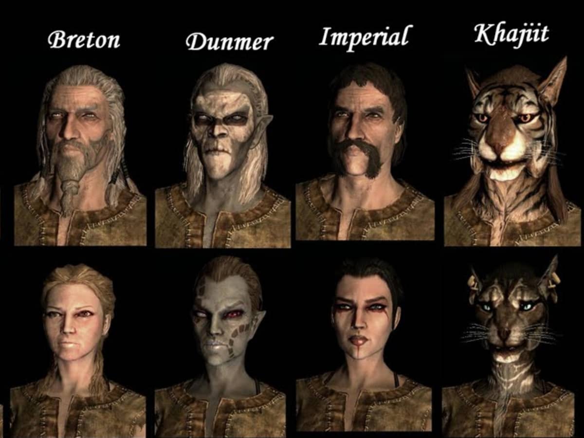 Most Popular Skyrim Race Kumminder