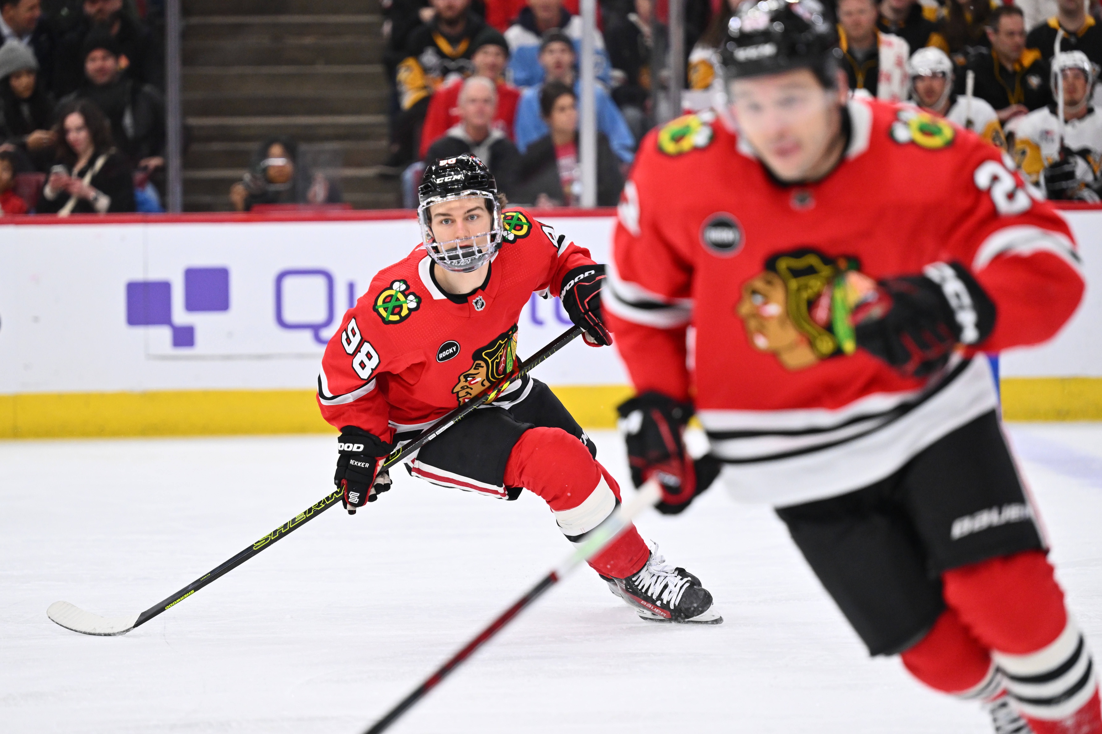 Connor Bedard Back With Pep — and Linemates Philipp Kurashev and Nick ...