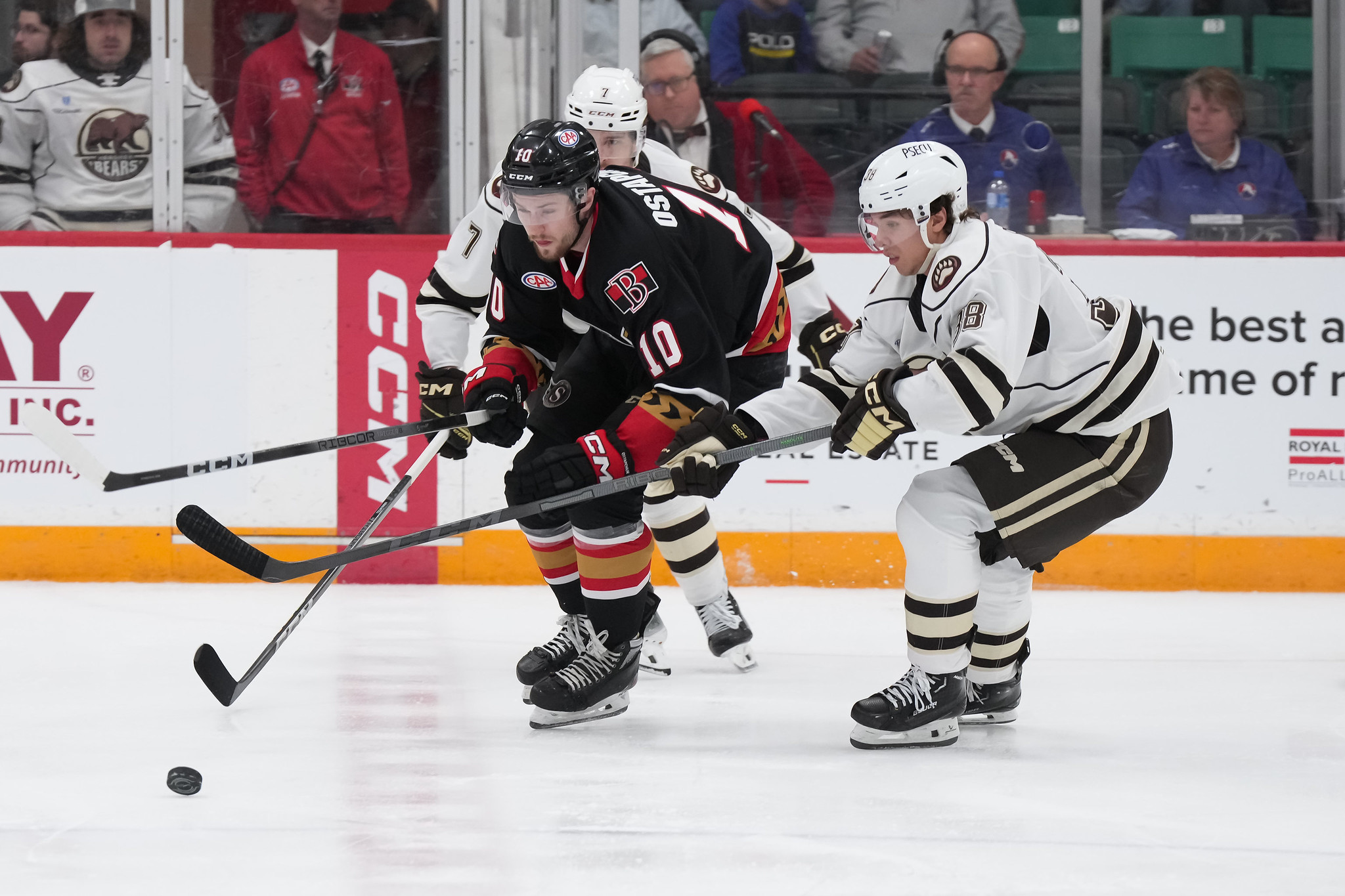 Ottawa Senators Prospect Zack Ostapchuk Expected to Make his NHL Debut ...