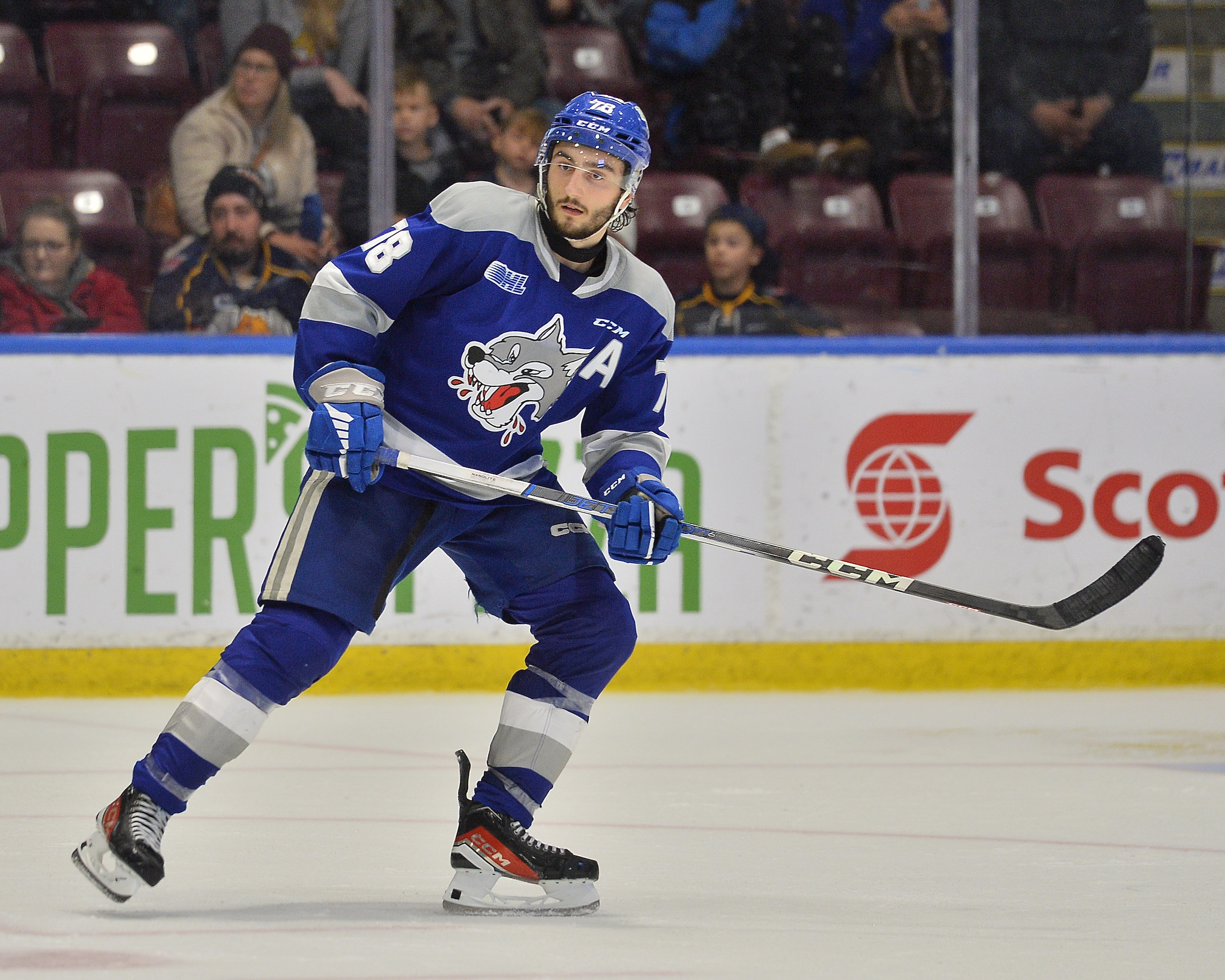 Overage Sudbury Wolves Defender Andre Anania Has Signed A One Year ...