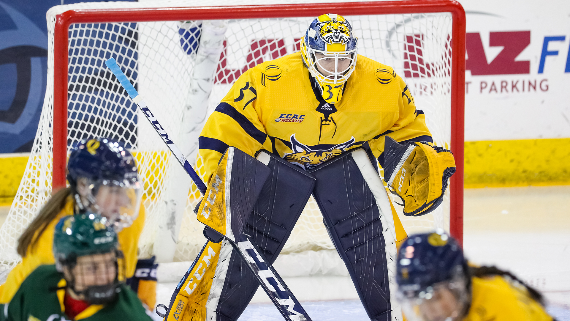 PWHL Ottawa Signs Netminder Logan Angers To A One-Year Deal