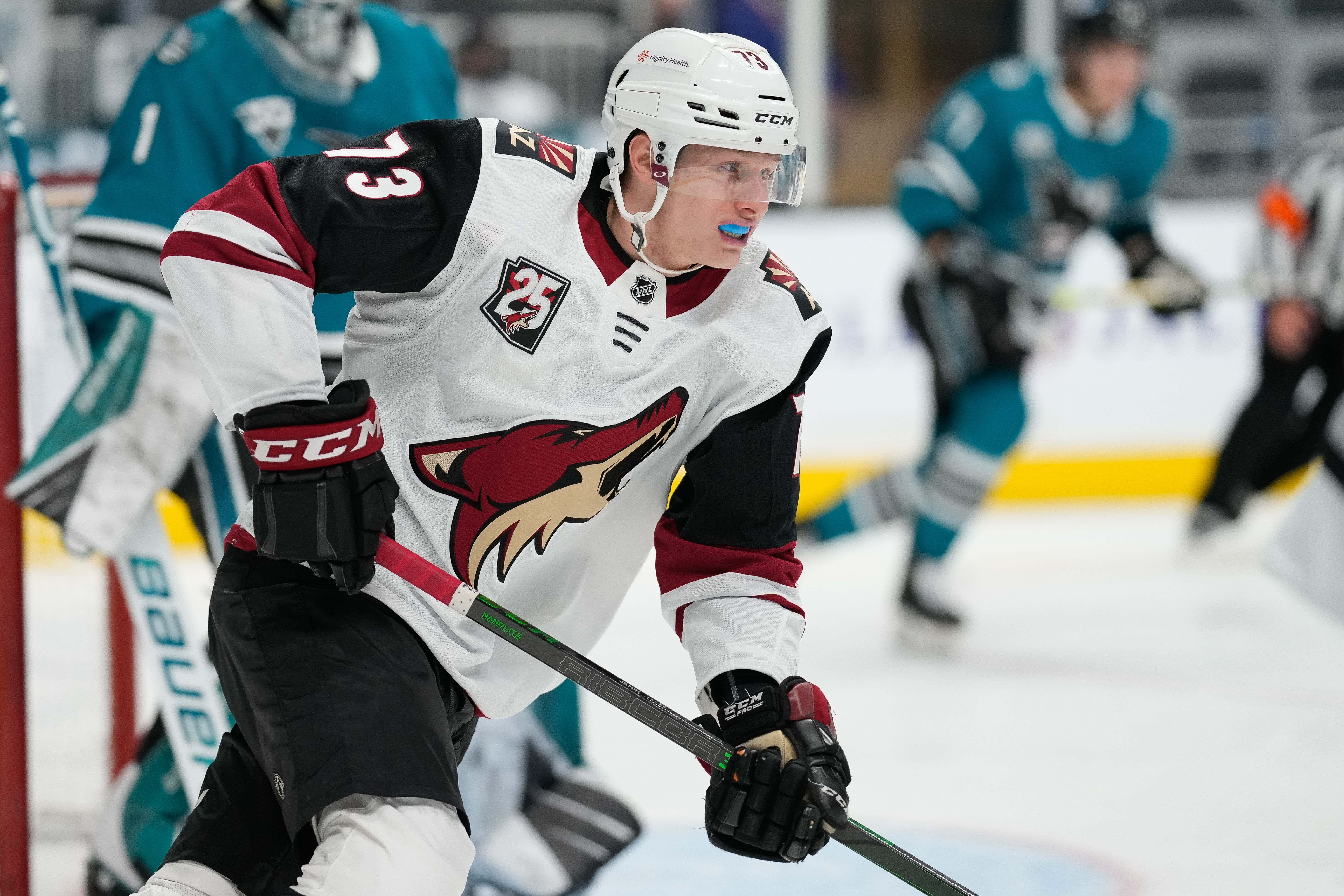 Coyotes Sign Jan Jeník to One-Year Contract