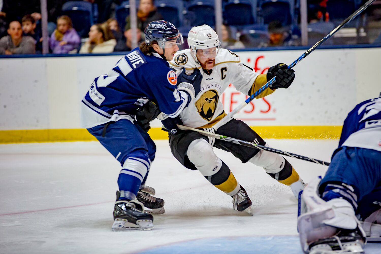 ECHL Mailbag: Heart and Soul Growler Named Team Captain, Thunder ...