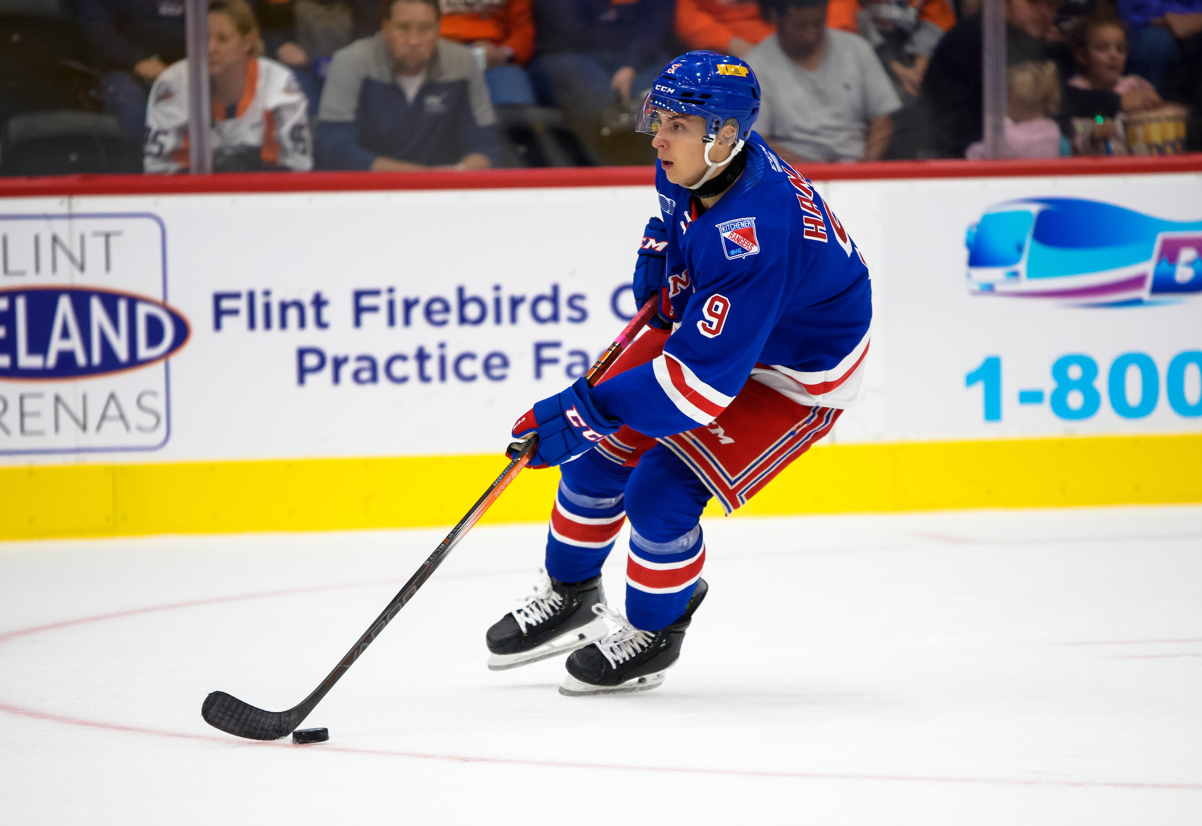 Tomas Hamara Traded to Brantford Bulldogs