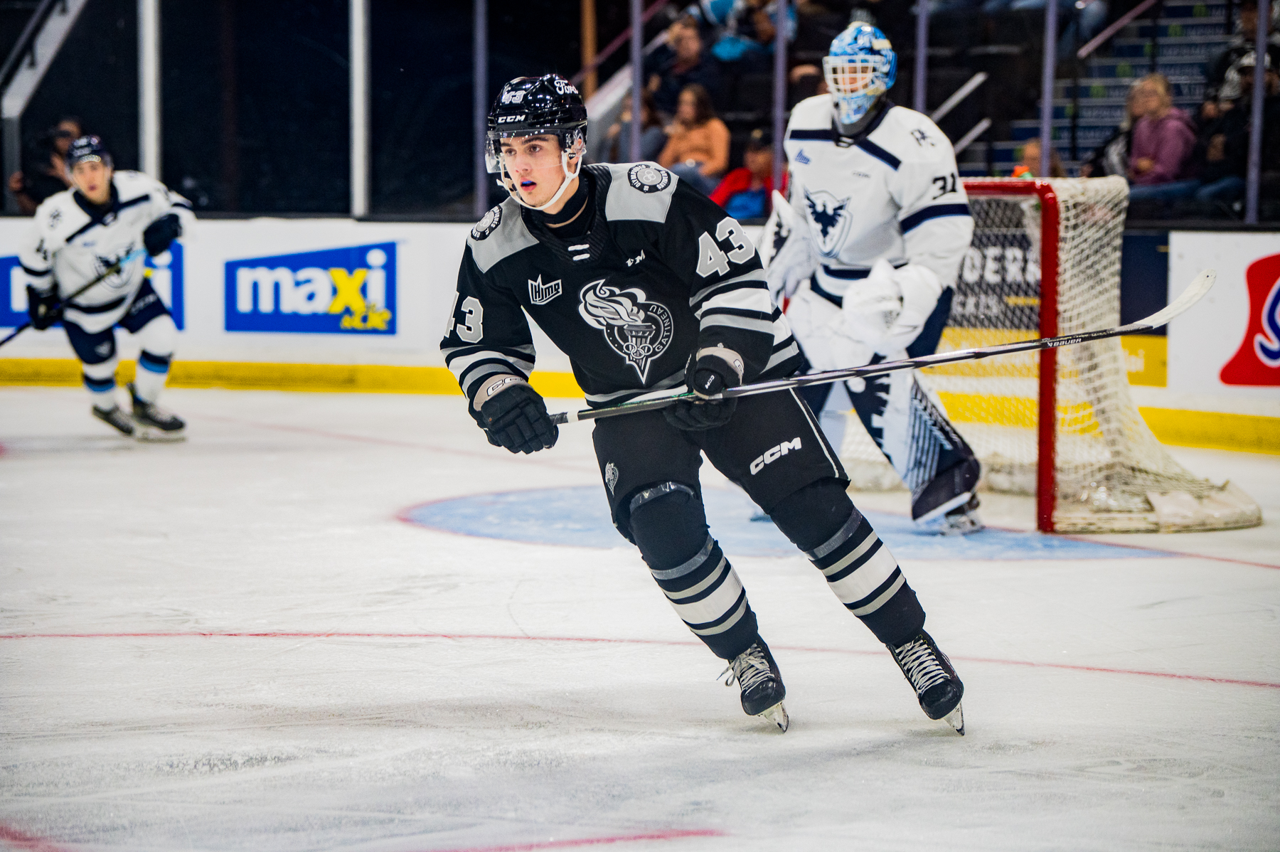 Gatineau Places Dumais On Waivers