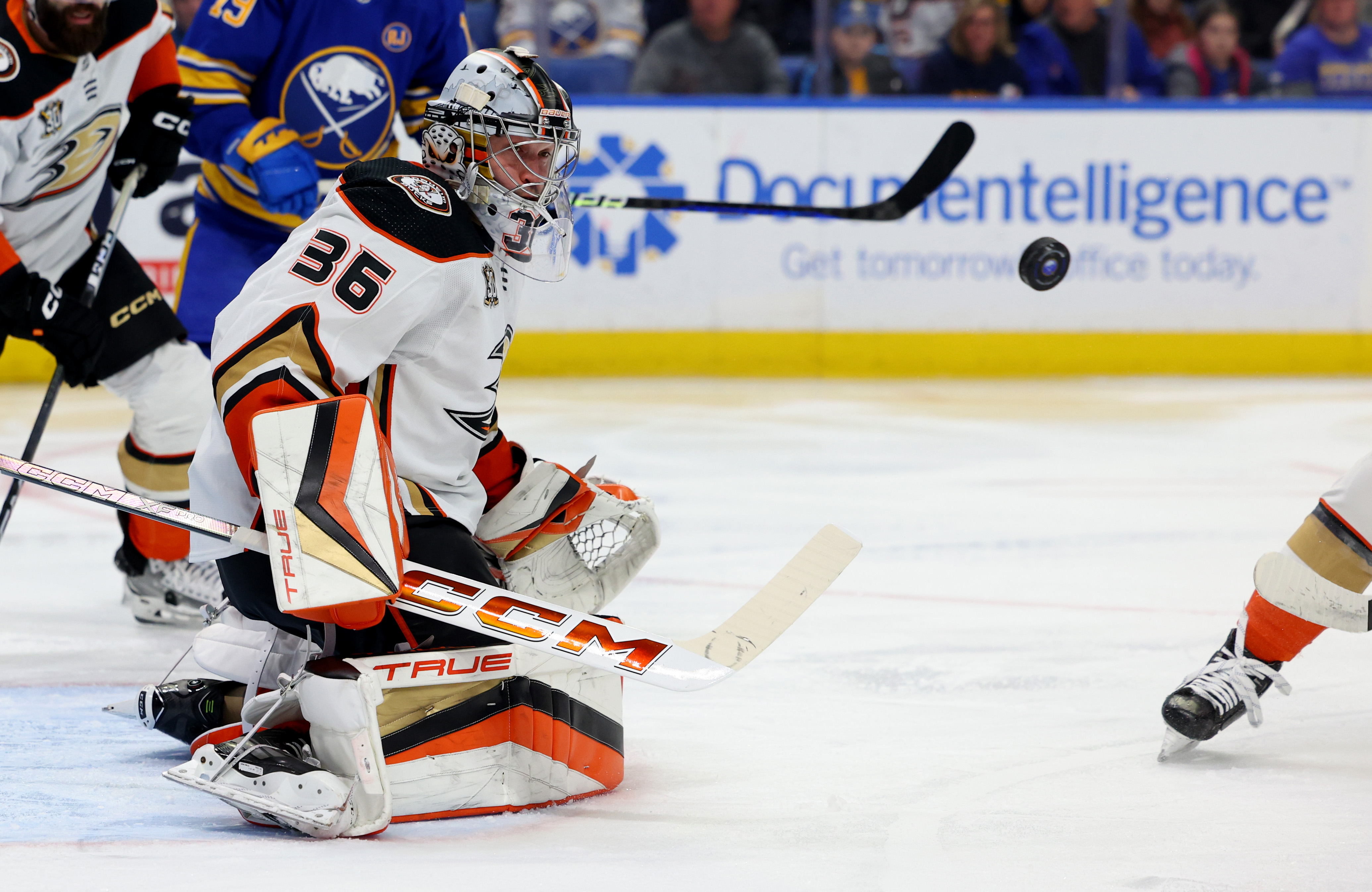 Game #19: Ducks vs. Sabres Gameday Preview