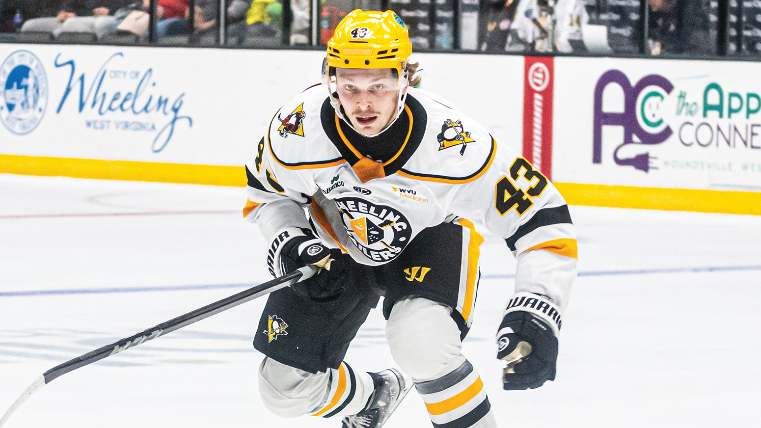 Nailers Rookie Earns Final Player Of The Week Award For 2024