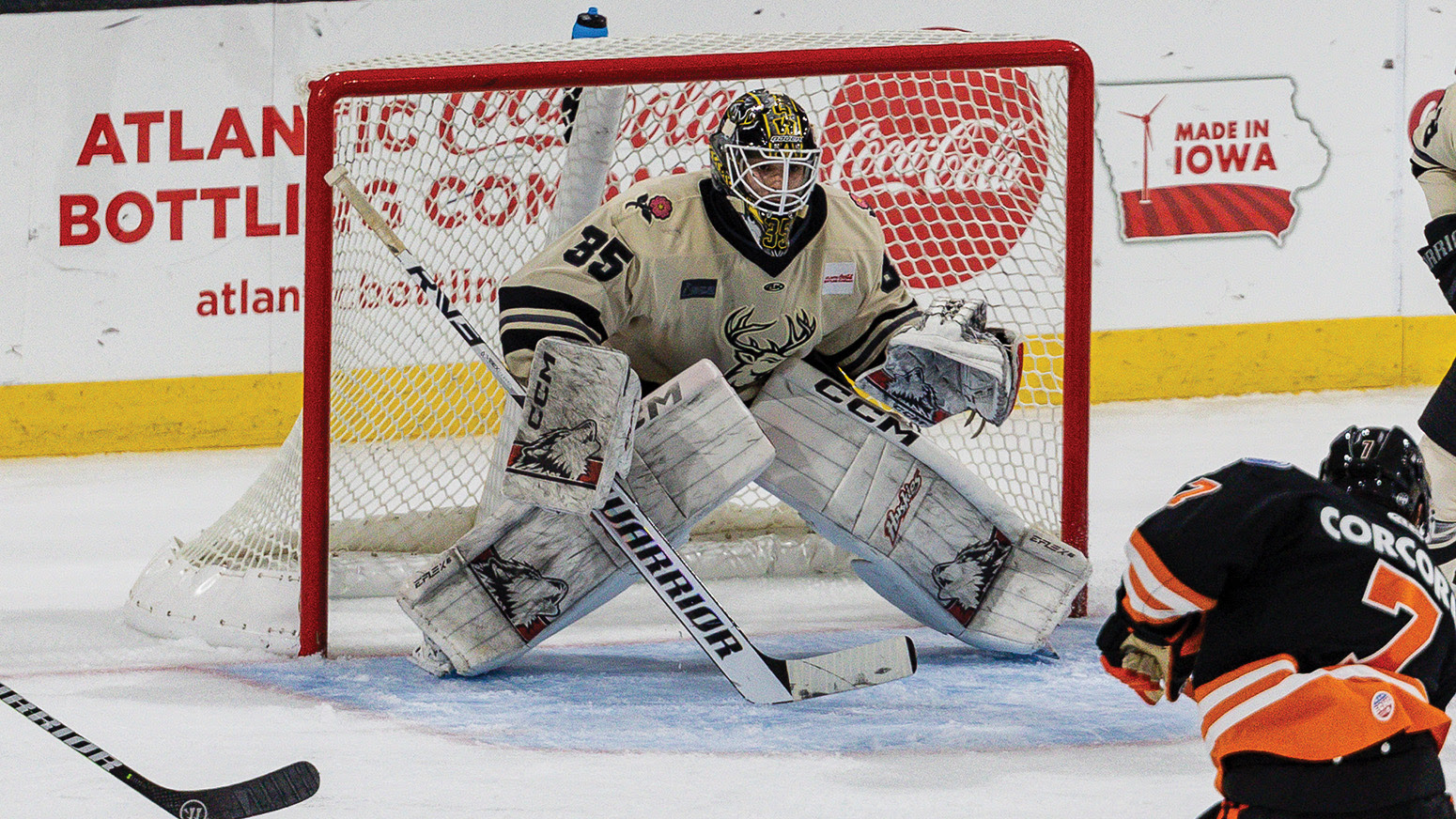 Heartlanders Netminder Picks Up Monthly Award