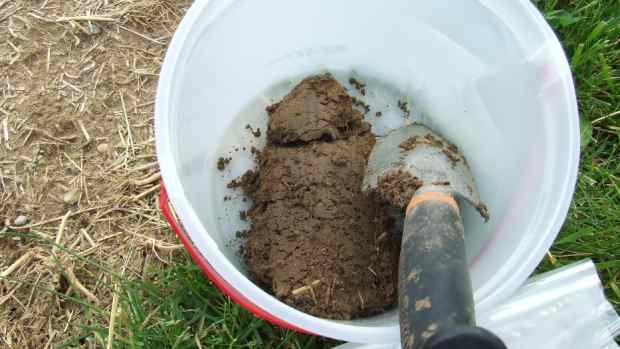 Soil - Dengarden - Home and Garden