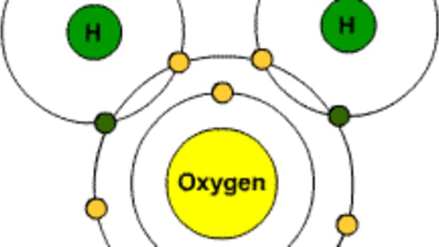 Primary and Secondary Immune Defences - Owlcation