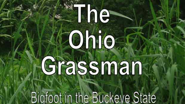 Education and Science - HubPages