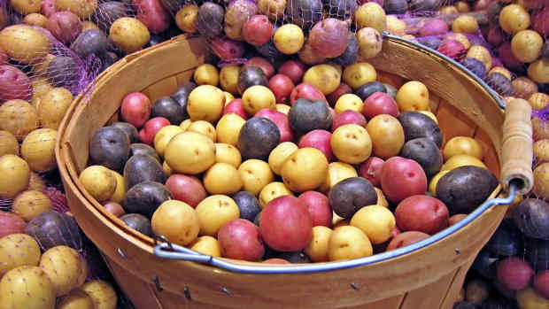 How to Grow Potatoes in the Desert - Dengarden