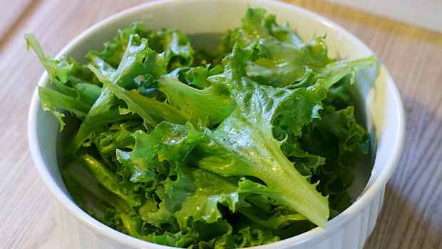 Growing Kale Indoors (& Lettuce) to Beat the Winter Blues - Dengarden