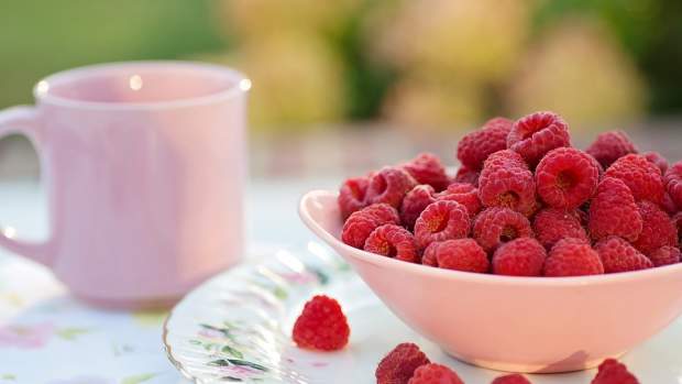 Muntries ("Kunzea pomifera"): Australian Native Plant Profile - Dengarden