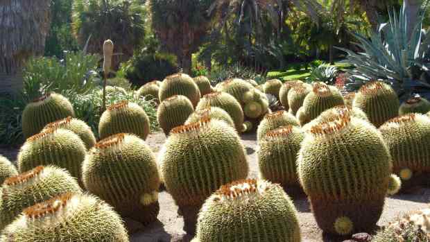 Definition and Impact of Sustainable Landscaping - Dengarden