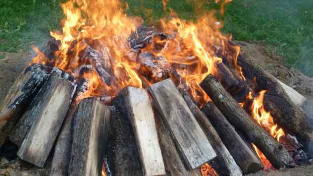 How to Remove Tree Stumps With a Power Washer - Dengarden
