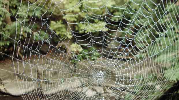 The Fascinating History of Weaving: Facts, Folklore, and Photos - Owlcation