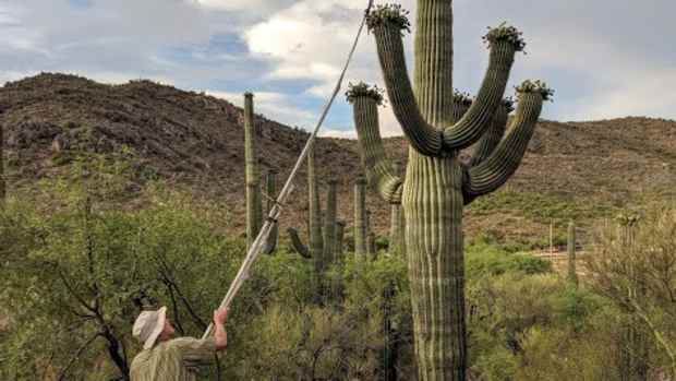 Travel Packages and Tours - WanderWisdom