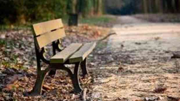 Bright Sunny Day (Poem) - LetterPile