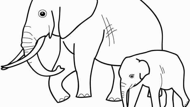 relaxing coloring pages elephant ears