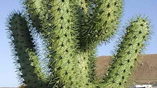 Education and Science - HubPages