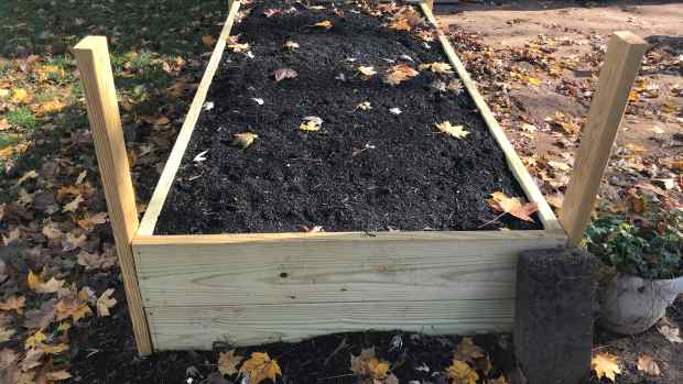 How To Amend Raised Bed Garden Soil Dengarden