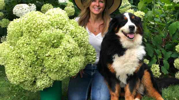 Tips and How-Tos for Planting Flower Gardens - Dengarden