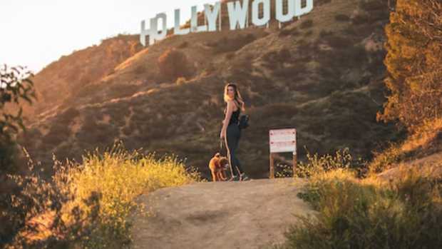 6 Celebrity Great Danes From Television and Film - PetHelpful