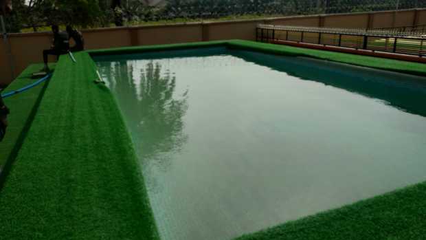 A Step-by-Step Guide on How to Clean a Green Swimming Pool - Dengarden
