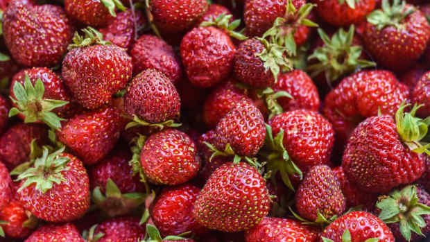 What Is a Medlar Fruit (Musmula) & Where Do They Come From? - Dengarden