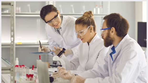 7 Uses for Canes for People With Disabilities and More - HealthProAdvice