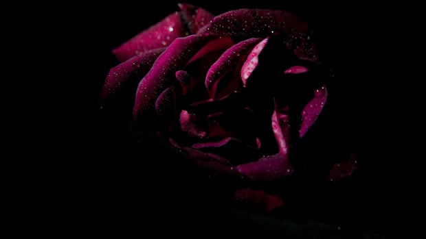 Writing Tutorials - Owlcation