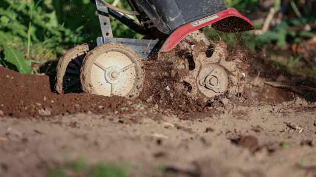 How to Prepare Your Garden for Winter (9 Dos and Don'ts!) - Dengarden