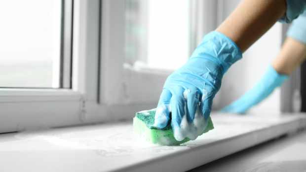 Cleaning - Dengarden