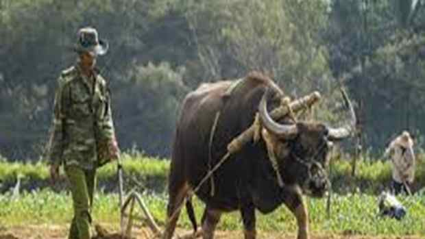 Appalachia: Dispelling the myth - HubPages