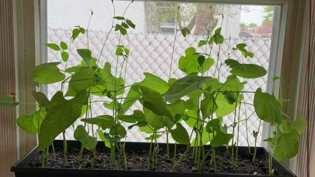 11 Golf Outing Games That Help Raise Money - HubPages