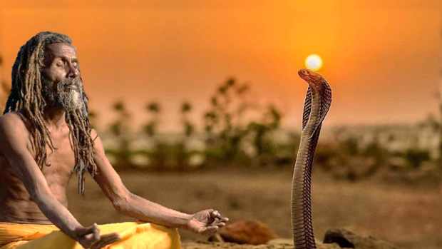 50+ Easy Air Fryer Recipes for Beginners - HubPages