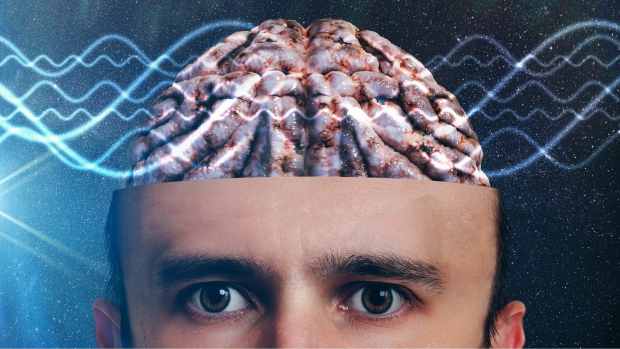 What Is a Polymath? (Plus Famous Polymaths) - Owlcation