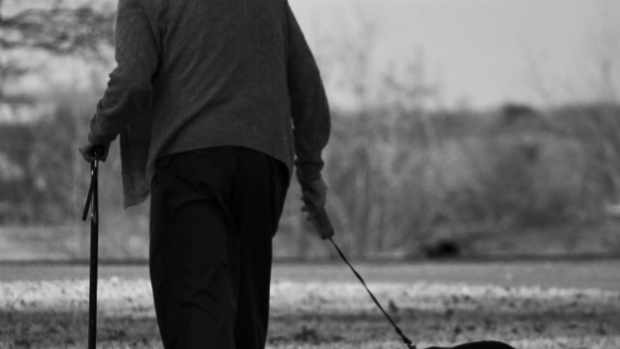 Creative Writing - LetterPile