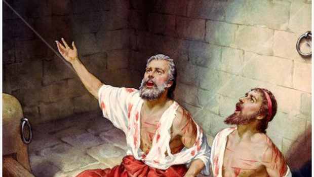 30 Pig Idioms and Phrases Explained - HubPages