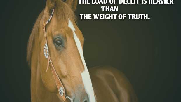 Creative Writing - LetterPile