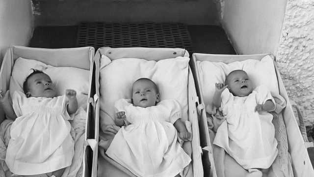 YouTubers Announce the Name of Their Triplets and People Are Roasting Them - WeHaveKids News