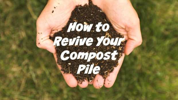 Composting and Vermiculture - Dengarden - Home and Garden