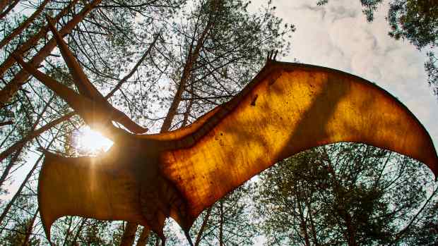 Looking for Giant Thunderbirds? Try Bridgewater Triangle in ...