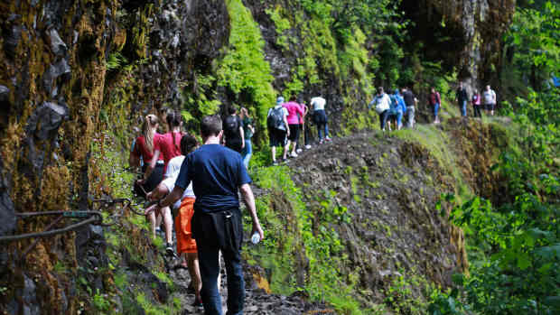 Stunning Oregon Trail That Borders the Edge of a Cliff Isn't for the ...