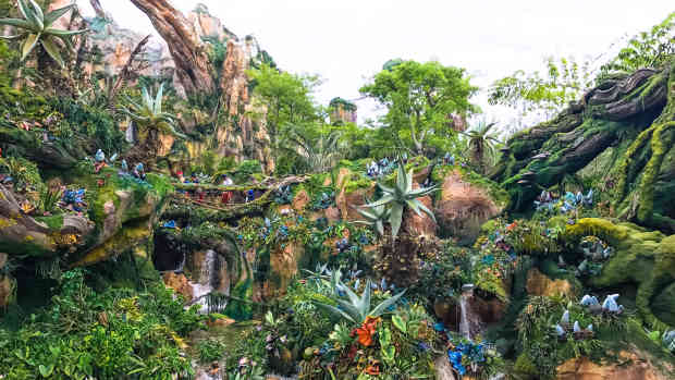 Disney Expert Explains Awesome Secret Behind Animal Kingdom’s ‘Pandora ...