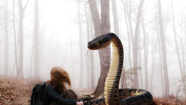 New Giant Worm Cryptid ‘Sinkhole Sam’ Dropped in Kansas - HubPages