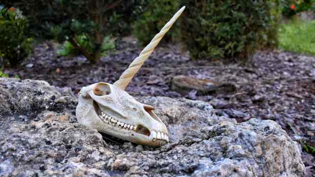 Murder Unicorns Called Shadhavar From Muslim Mythology Are Terrifyingly ...