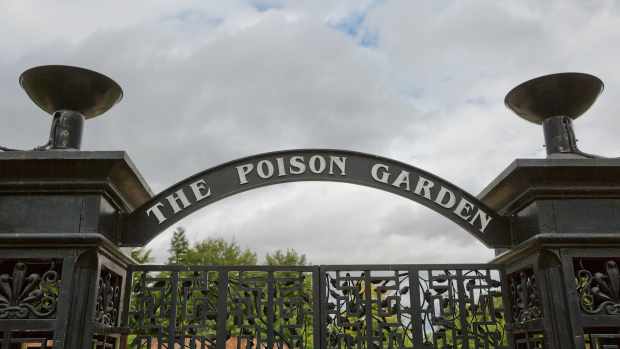 Gardener Goes Behind the Scenes of 'Deadliest Garden in the World' in ...